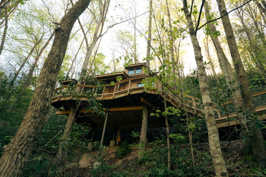 Frequently Asked Questions | Treehouse Grove